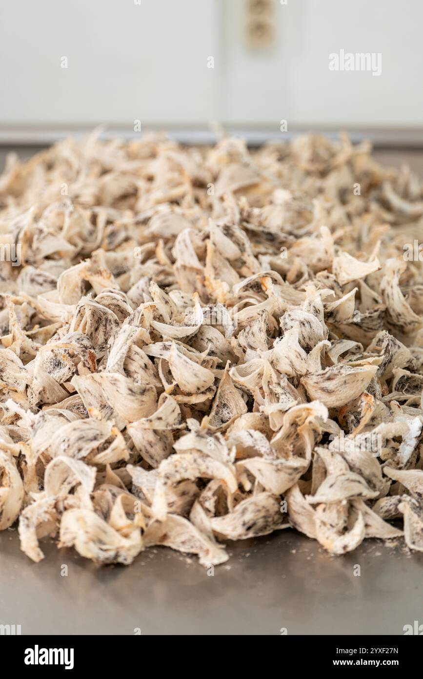 Raw edible bird's nest materials for tradition chinese medicine ...