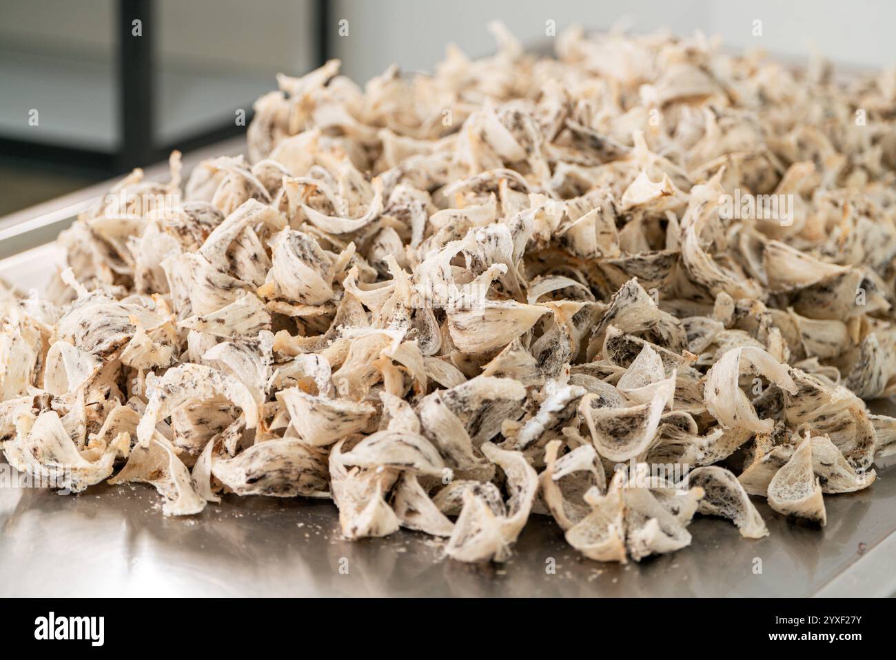 Raw edible bird's nest materials for tradition chinese medicine ...