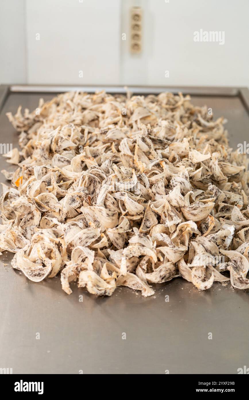 Raw edible bird's nest materials for tradition chinese medicine ...