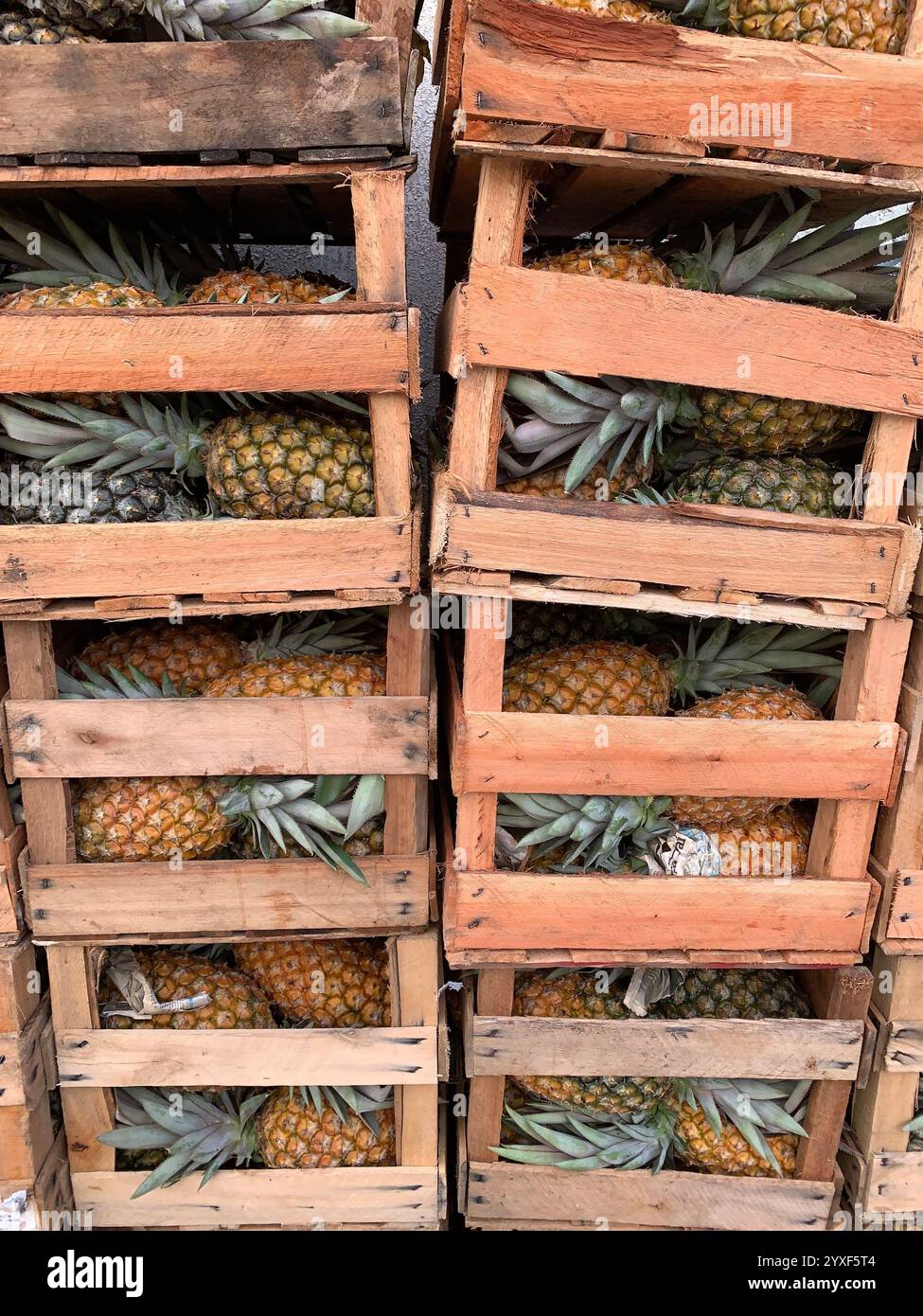 Stacks of rustic wooden crates filled with pineapple against a cement ...