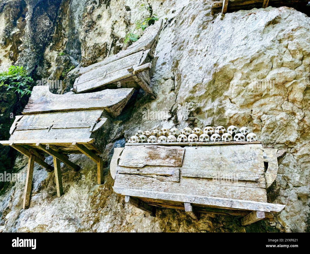 Ancient Toraja Graves, Londa cave, Tana Toraja, Indonesia. Wonderful ...