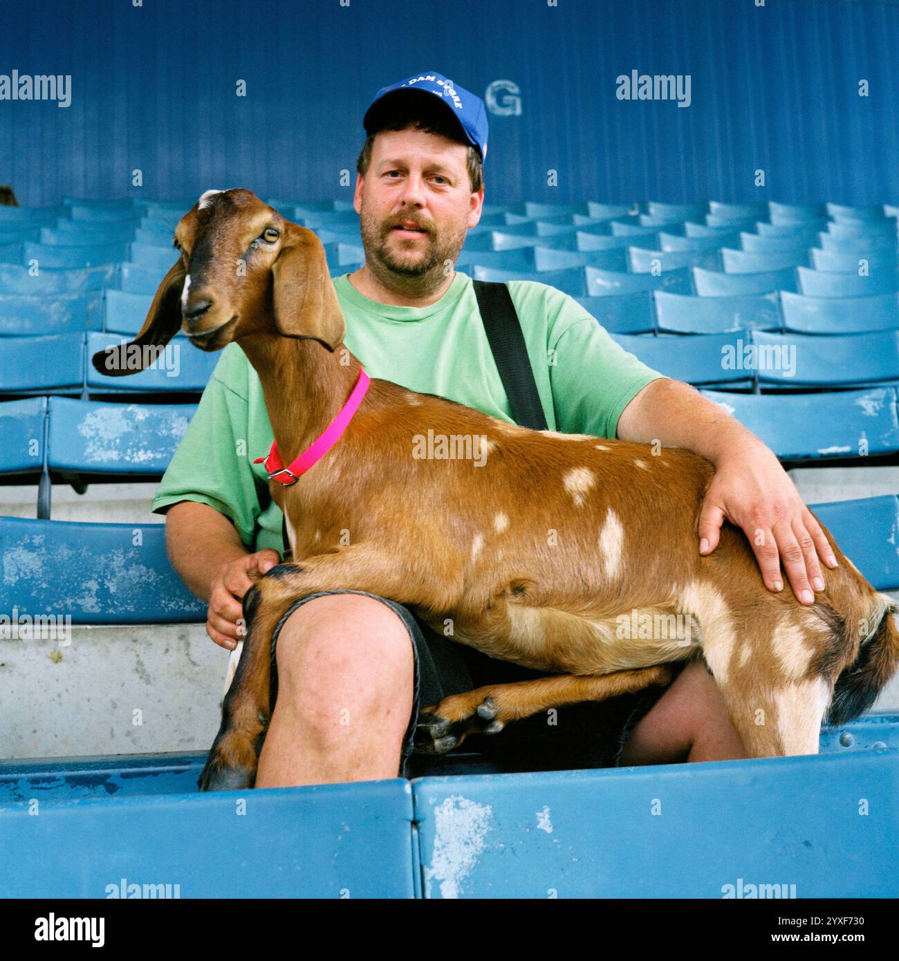 Man posing with goat Stock Photo - Alamy