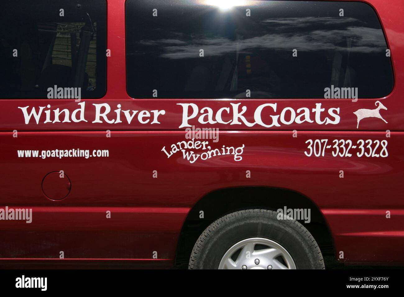 Goat Packing in Lander, Wyoming Stock Photo - Alamy