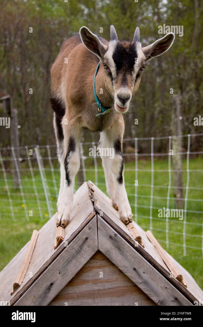 Gray roof stands hi-res stock photography and images - Alamy