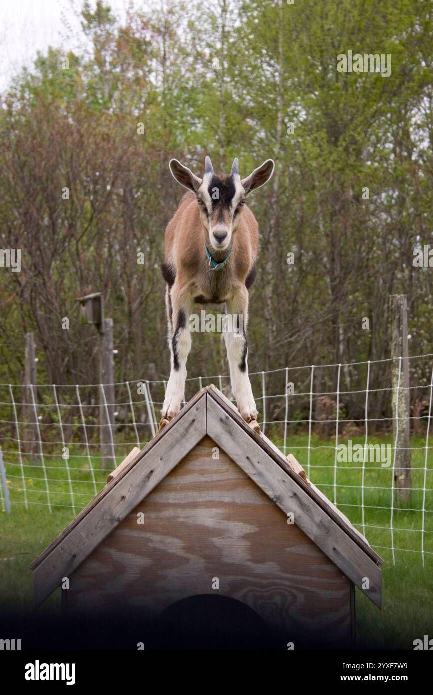 Gray roof stands hi-res stock photography and images - Alamy