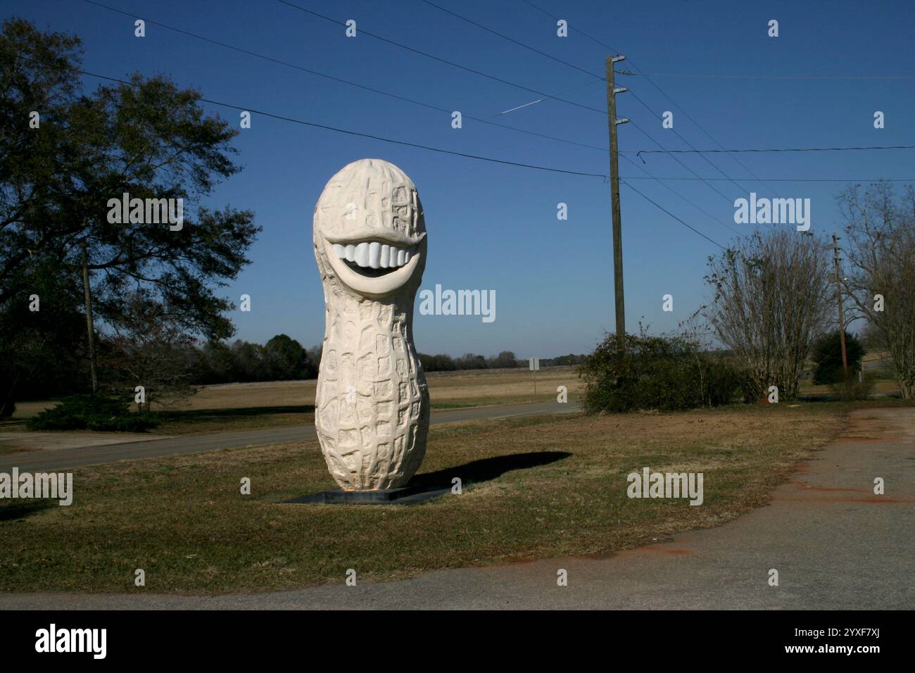 Jimmy carter peanut hi-res stock photography and images - Alamy