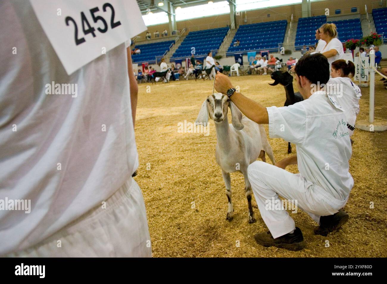 National dairy show hi-res stock photography and images - Alamy