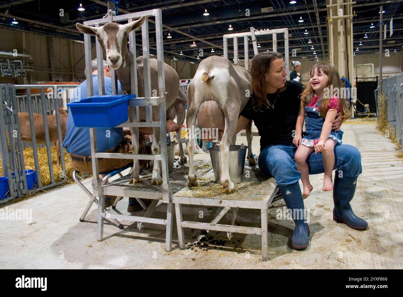 American Dairy Goat Association's National Show Stock Photo - Alamy