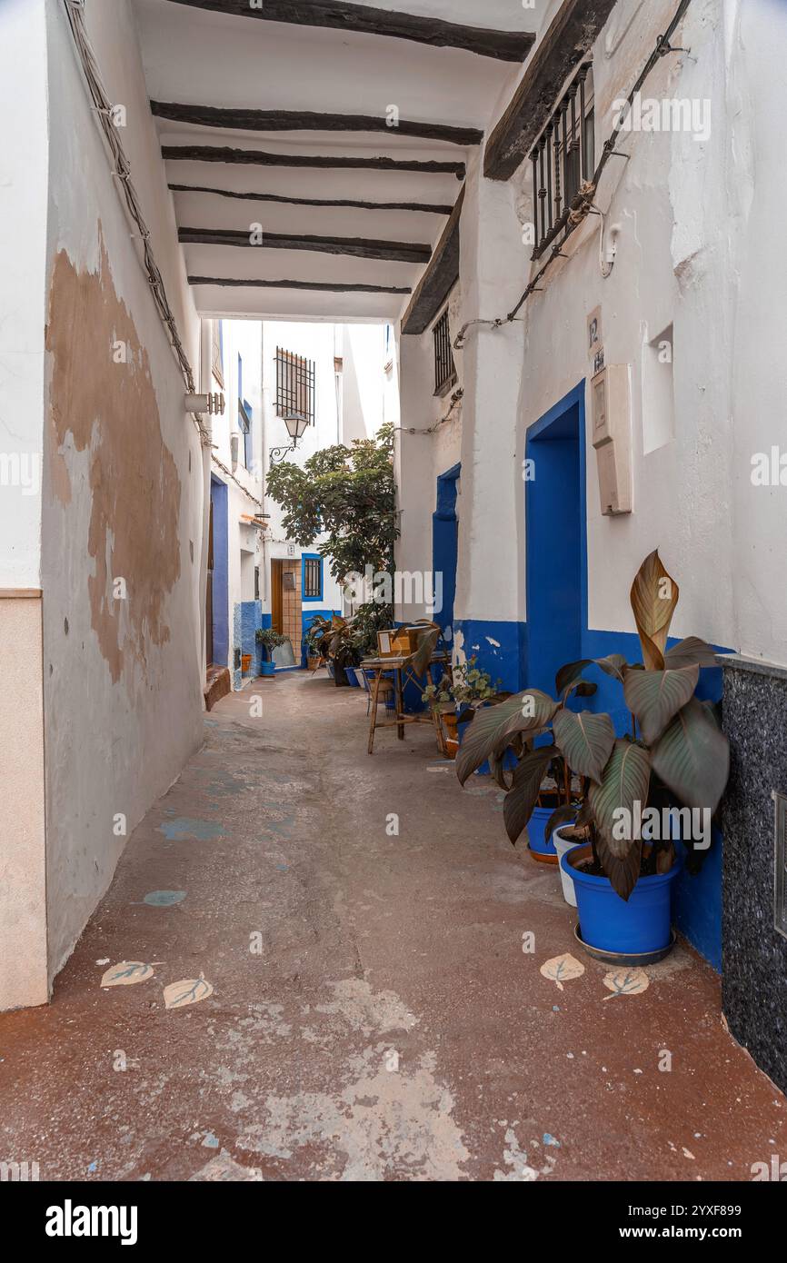 White and blue houses in the streets of the muslim neighborhood of ...