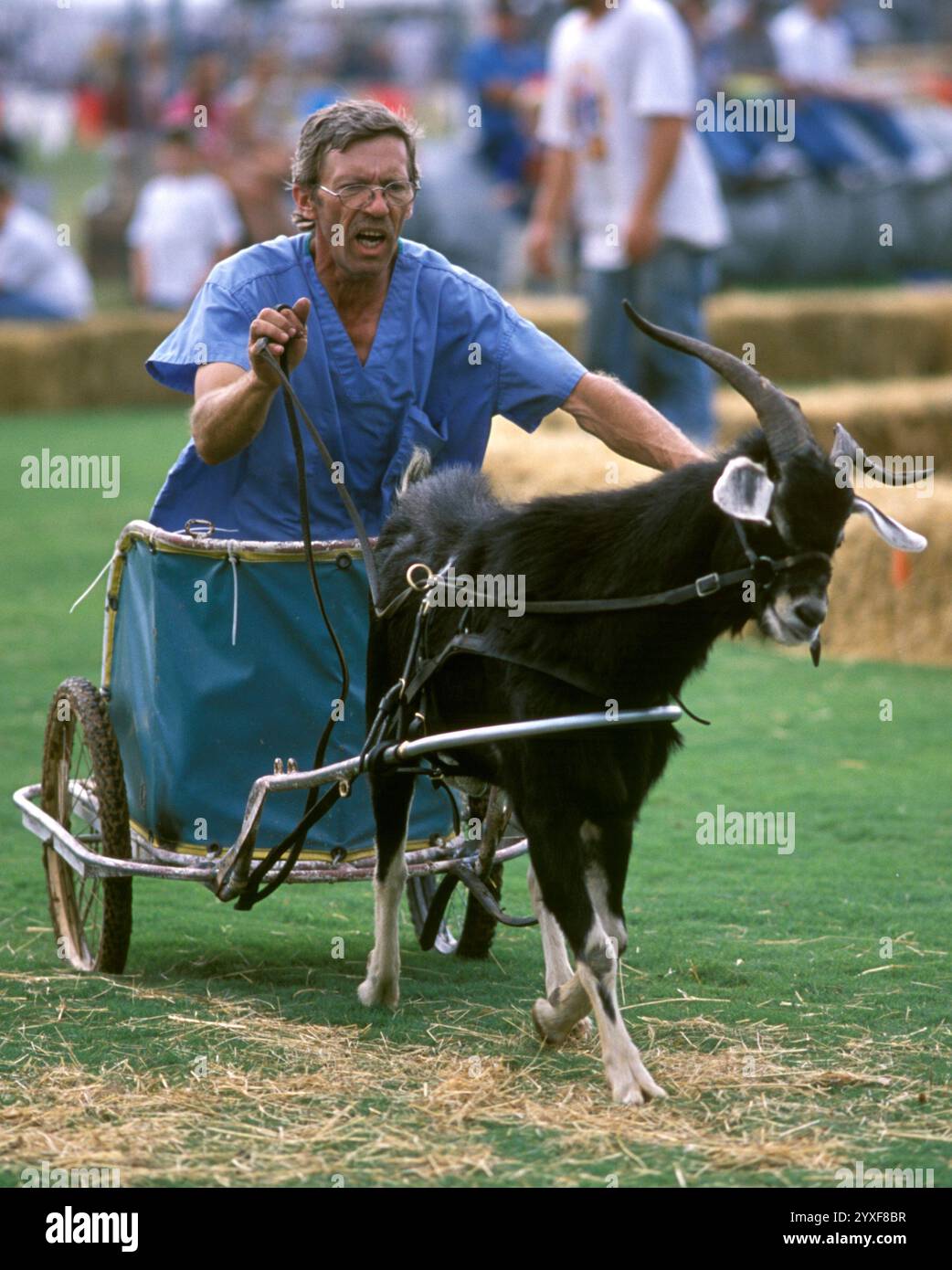 Goat Days Family Festival, Millington, Tennessee Stock Photo - Alamy