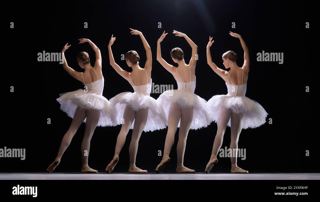 Back view full-length image of graceful elegant young girls, ballerinas in white tutus, standing ...
