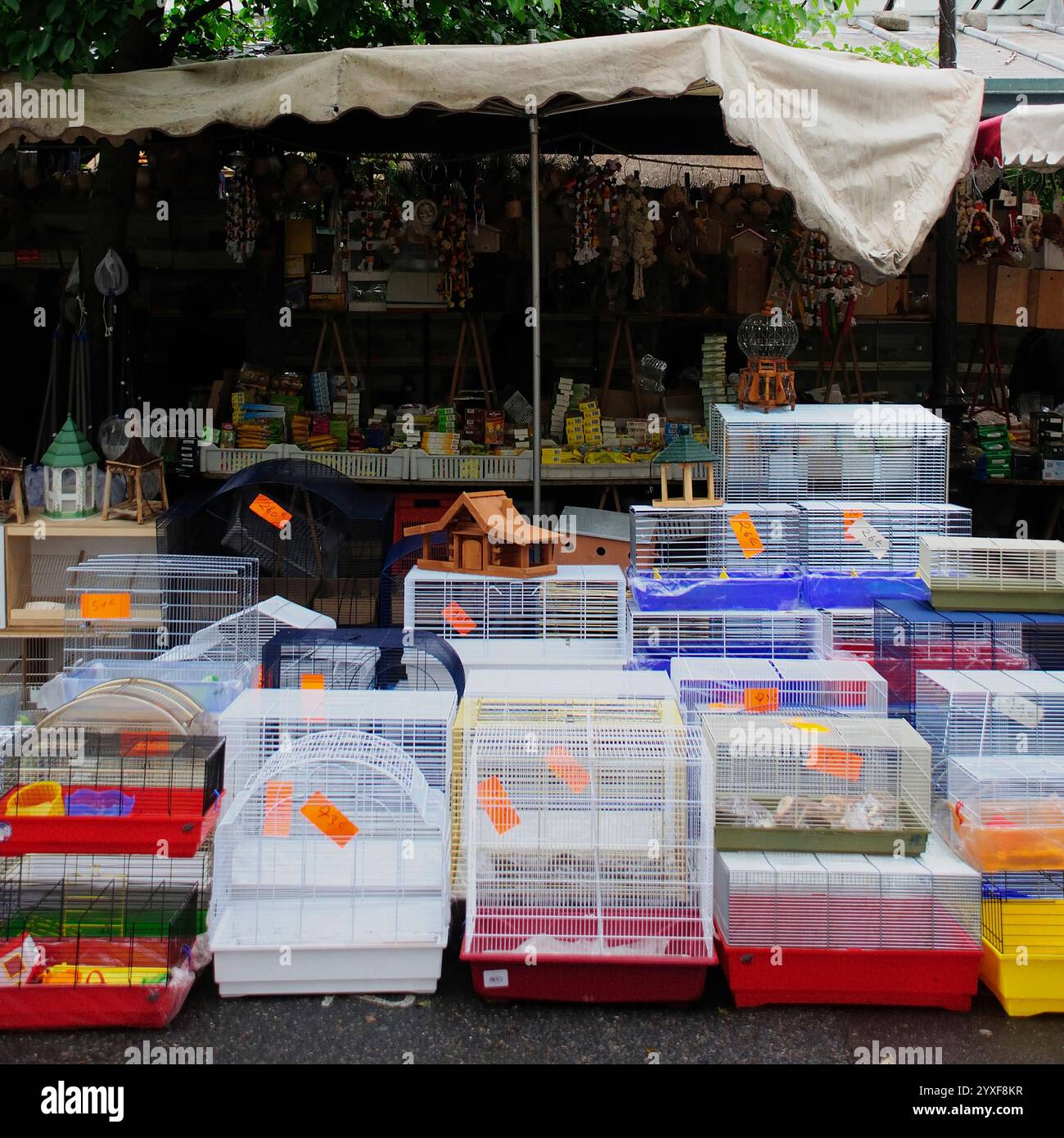 Selection of colorful bird cages for sale outside at the Sunday bird ...