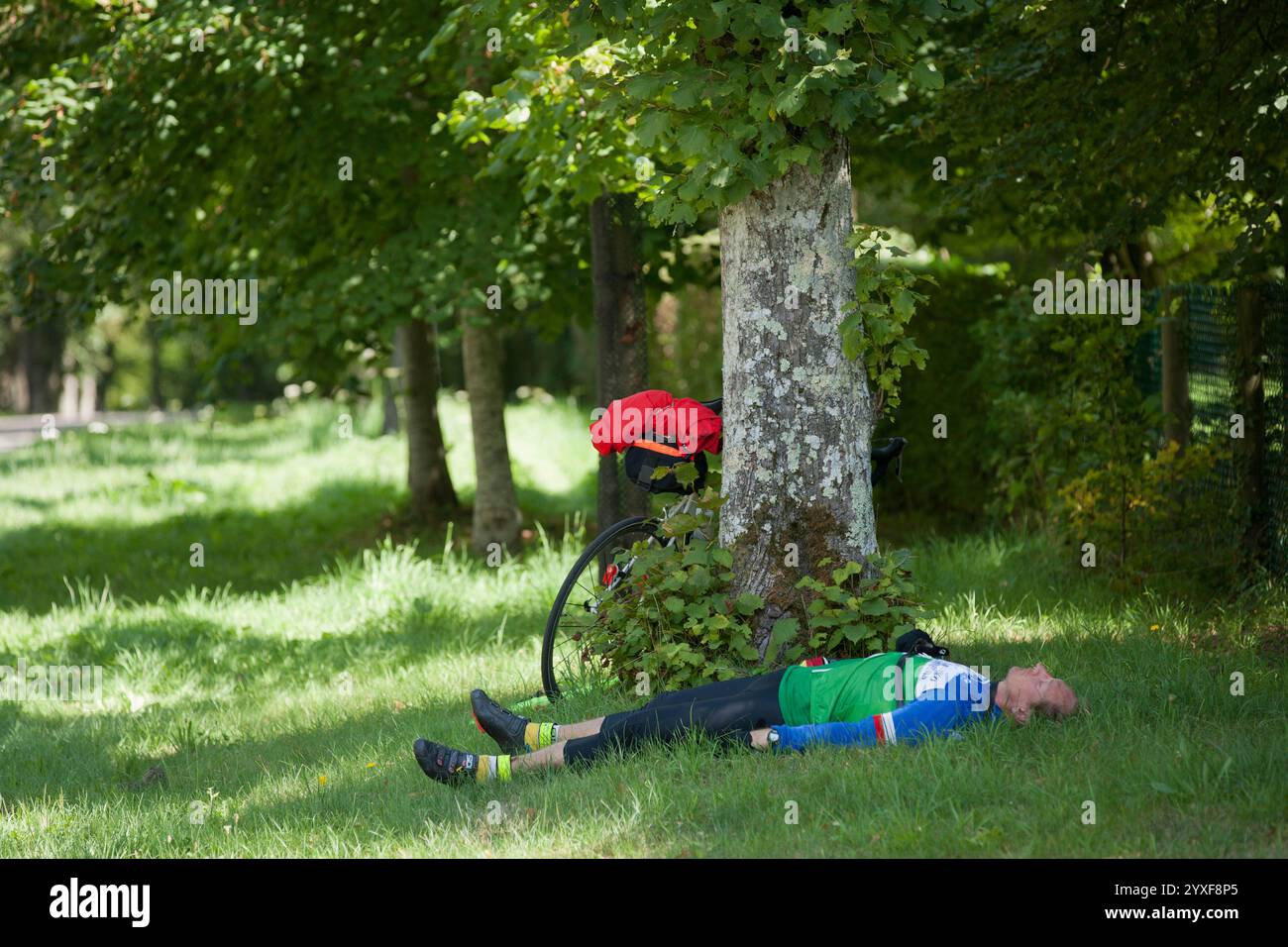 A quick sleep on under a tree heading for Dreux control Stock Photo - Alamy