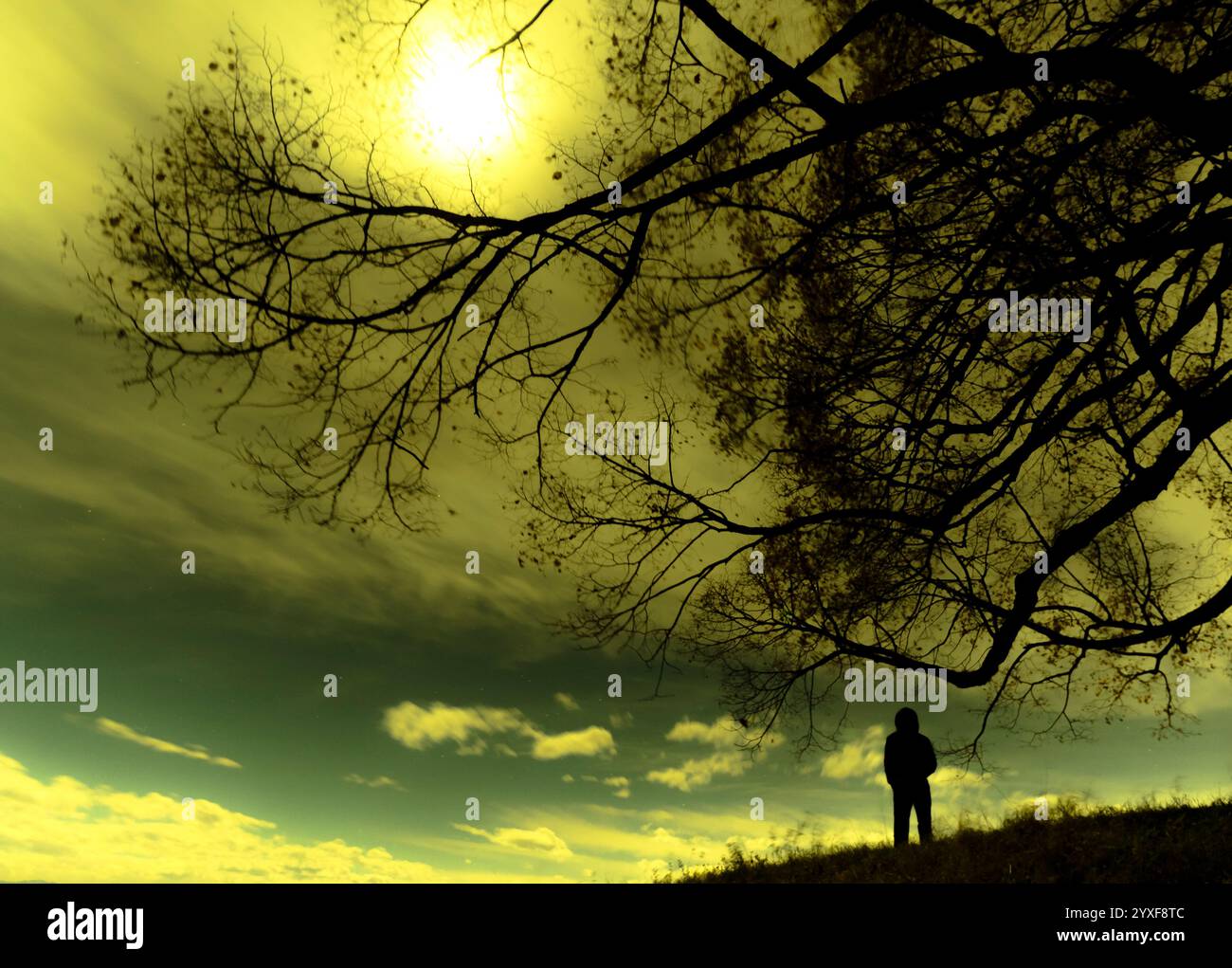 Staring at the moon Stock Photo - Alamy