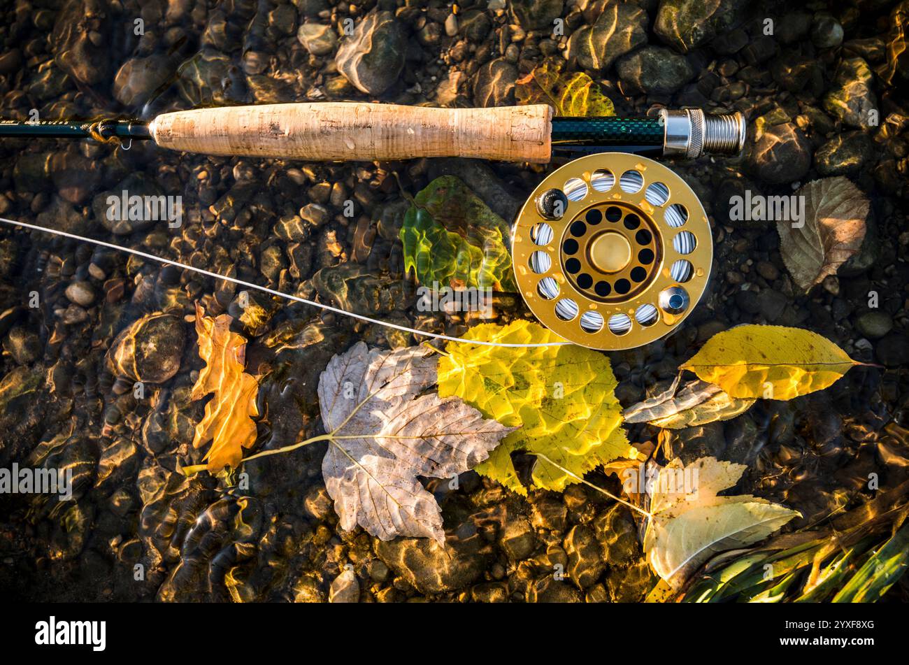 Flyfishing in southern Bavaria Stock Photo - Alamy