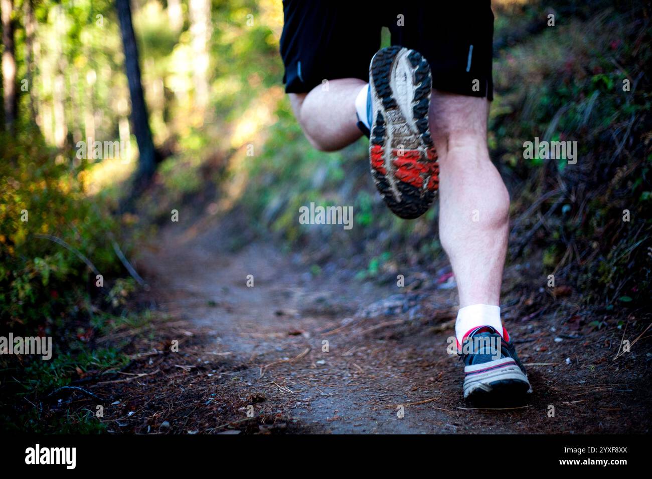 A trailrunners legs on a trail in the Rattlesnake Mountains near ...
