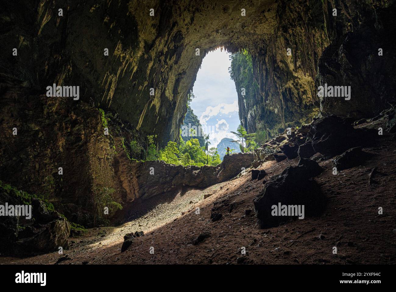Caver standing in the entrance to Deer Cave, Mulu, Sarawak, Malaysia ...