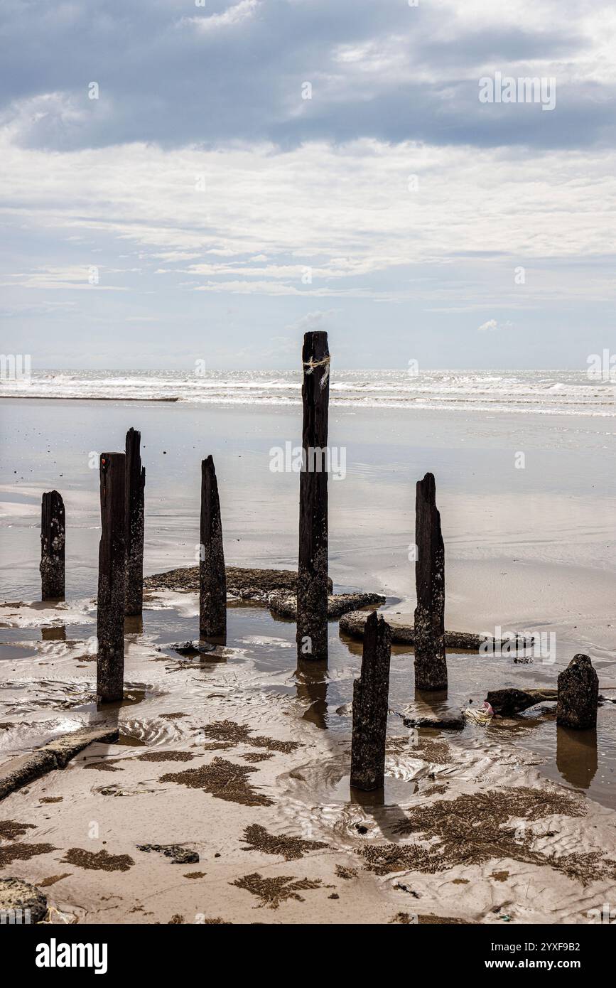 Pilings on beach hi-res stock photography and images - Alamy