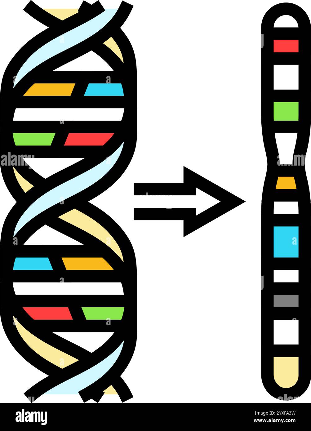 Genes and alleles hi-res stock photography and images - Alamy