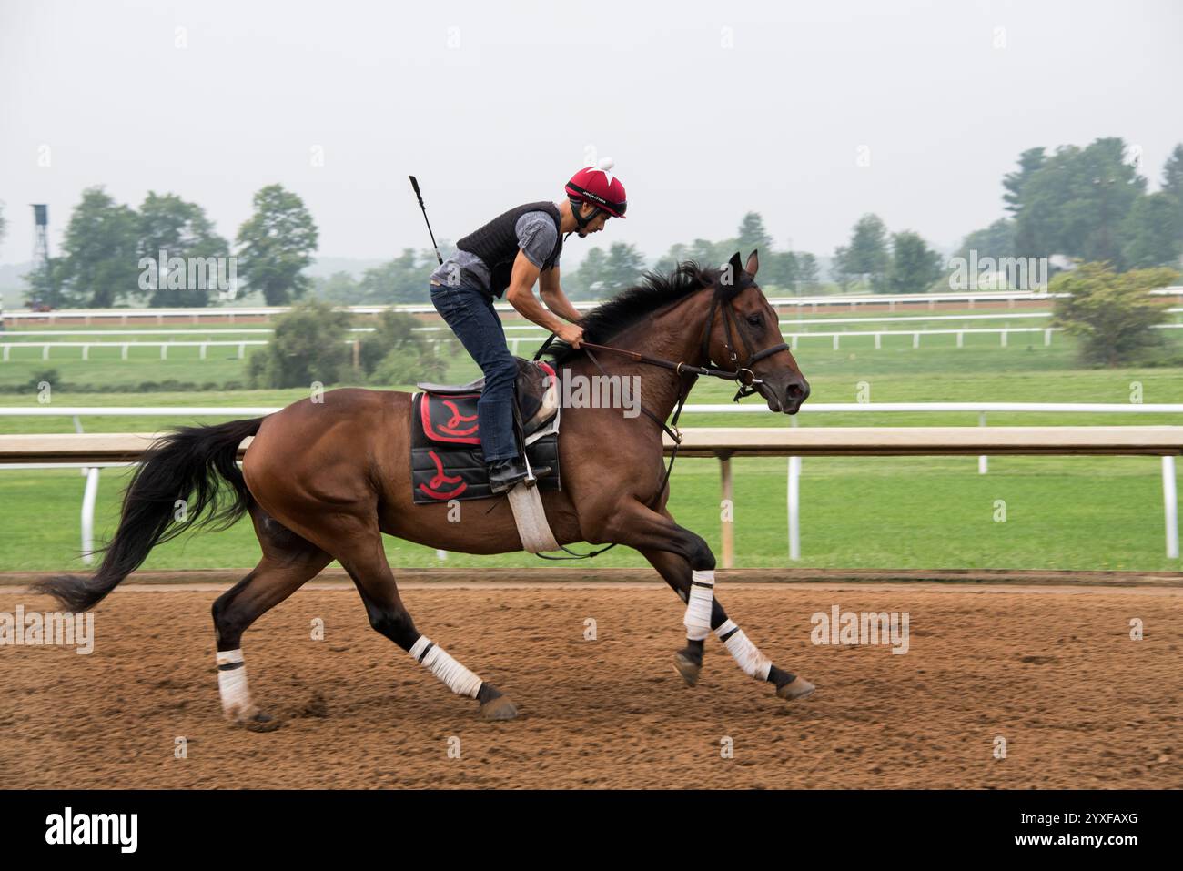 The image depicts a skilled jockey riding a Thoroughbred during ...