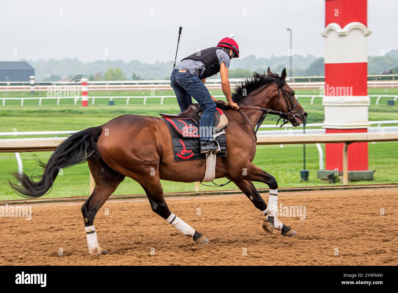 The image depicts a skilled jockey riding a Thoroughbred during ...