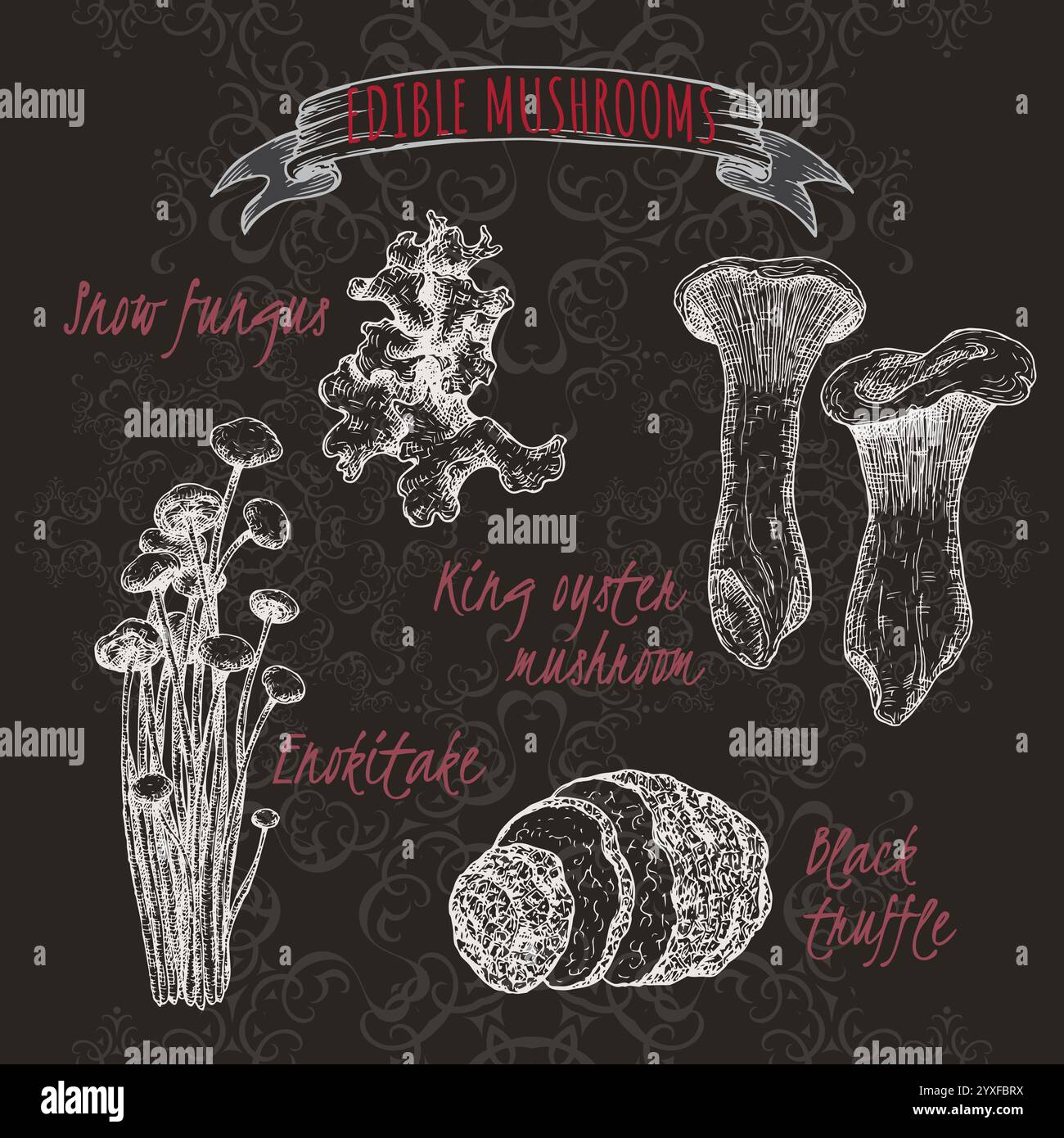 Set of sketches with snow fungus, king oyster mushroom, enokitake ...
