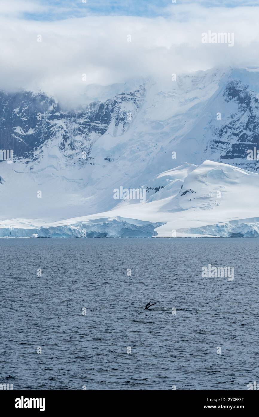 Impression of the Scenery near Anvers Island, on the Antarctic ...