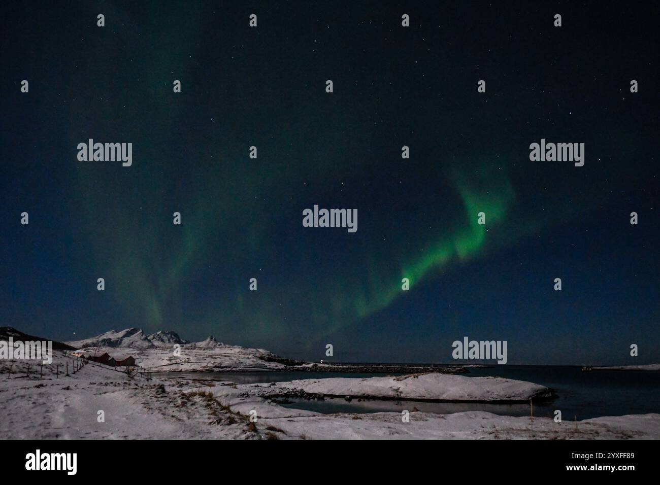 Bright Green Colours of the Northern Light, Aurora Borealis illuminate ...