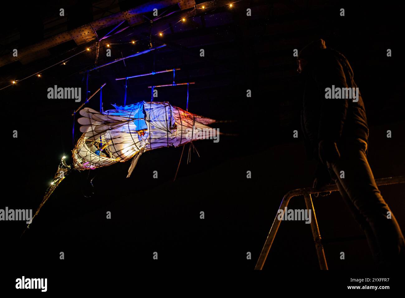 A man is seen watching the sculpture of an illuminated fish. Light ...