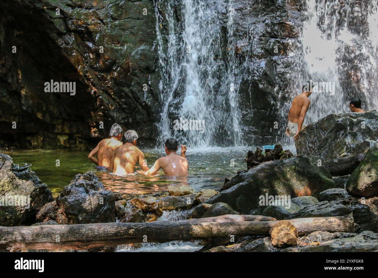 Vietnamese national forest reserve hi-res stock photography and images ...