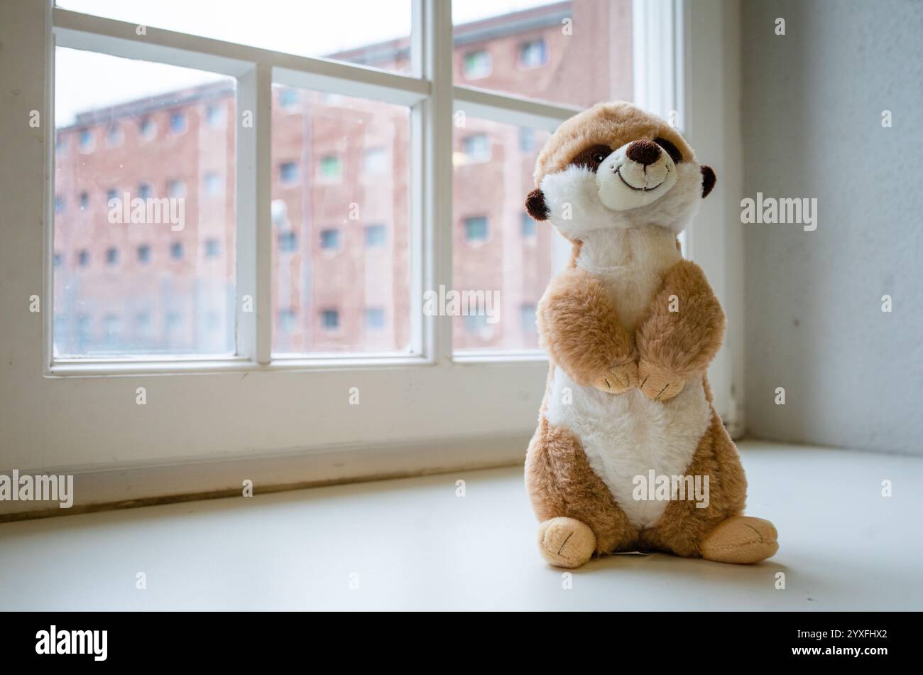 Incarcerated parents hi-res stock photography and images - Alamy