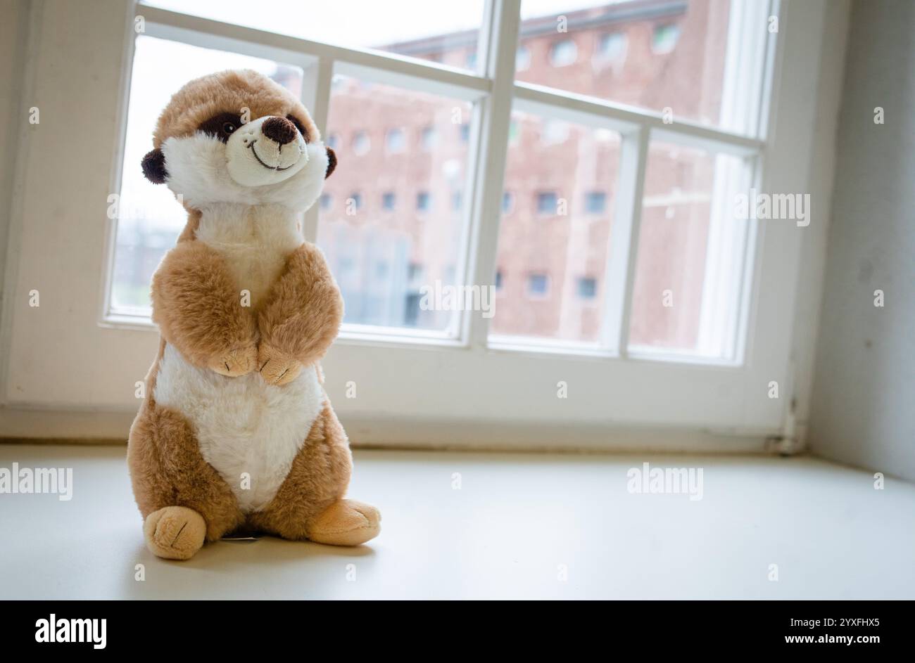 Mannheim, Germany. 16th Dec, 2024. The new prison mascot "Toni" sits on ...