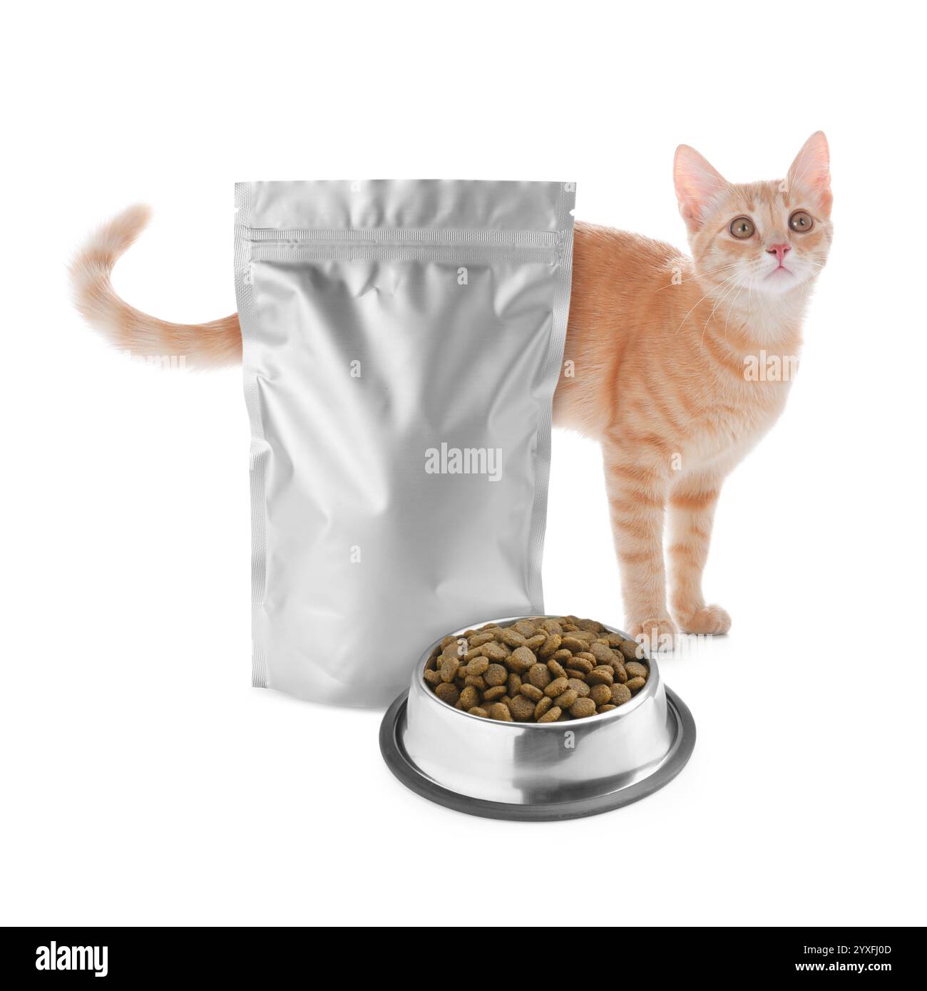 Cute cat, foil package and bowl of dry pet food on white background ...