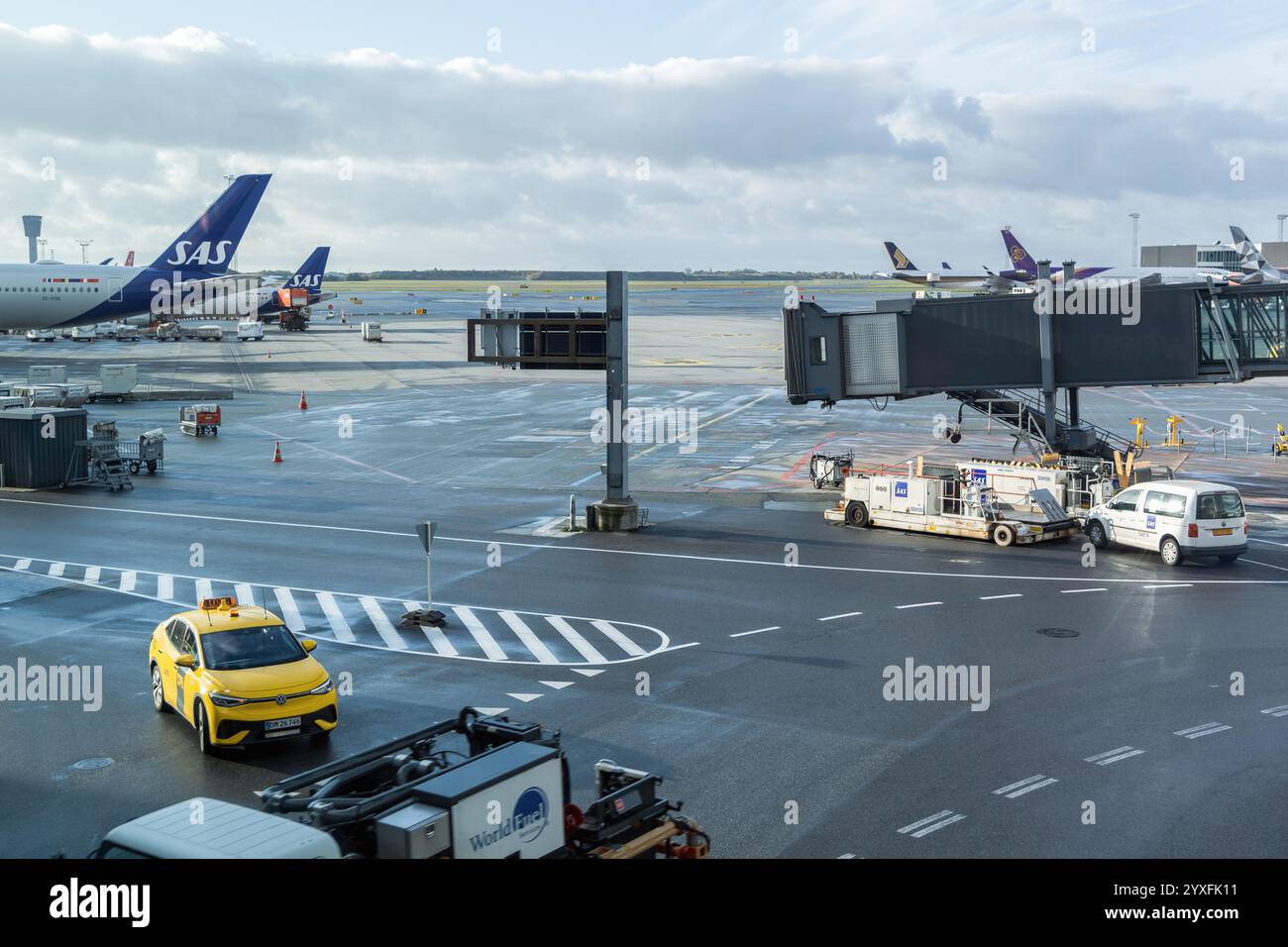 SAS plane parked at Copenhagen airport. Travel by plane. Copenhagen ...