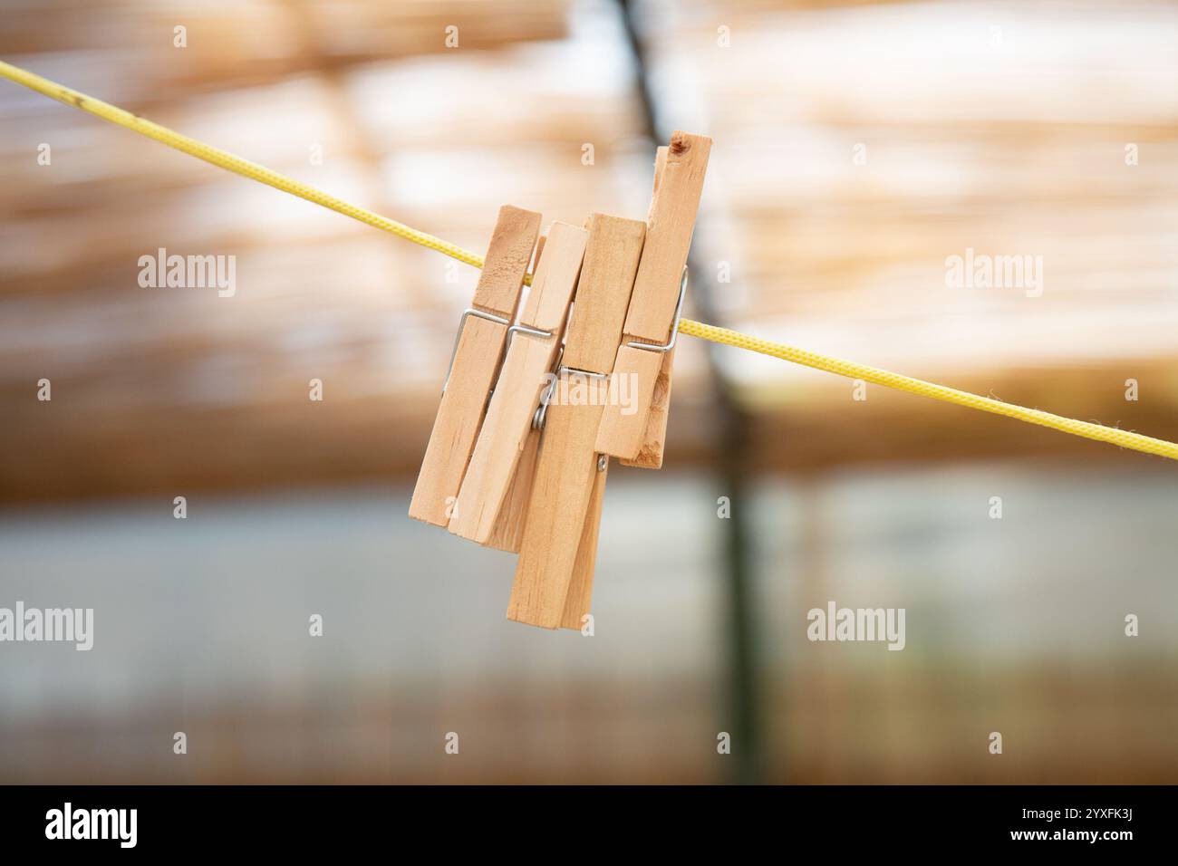 A collection of various wooden clothes pins is hanging on a clothes ...