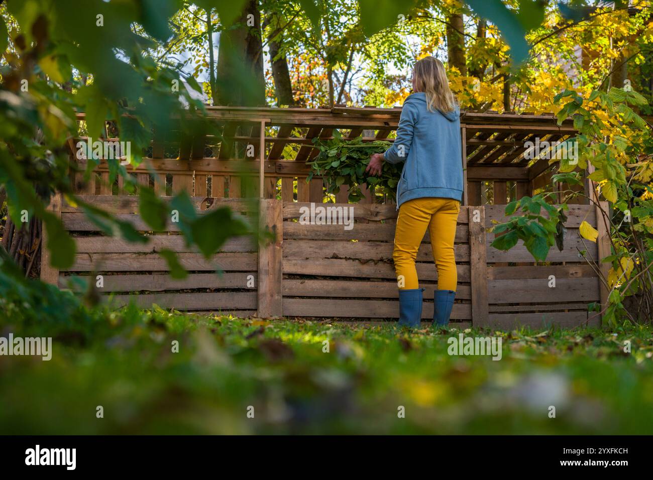 Composting and sustainable organic gardening. Female gardener putting ...