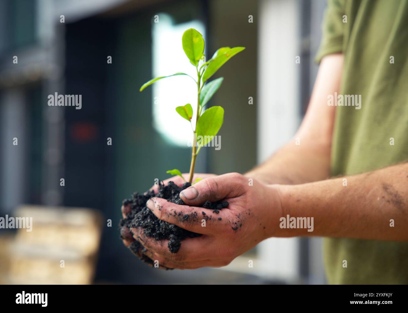 Carbon farming, compost, potting soil, hold, growing, season, substrate ...