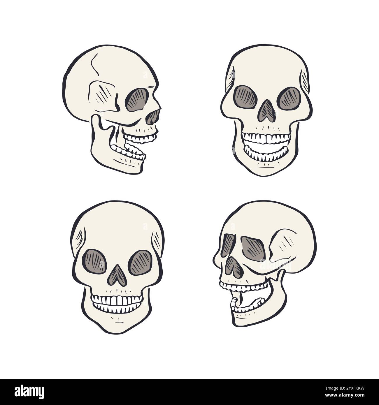 Hand drawn sketchy human skulls set isolated on white background Stock ...