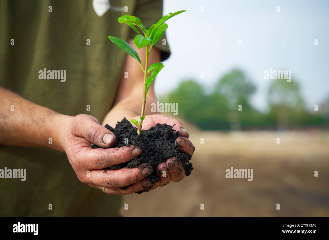 Carbon farming, compost, potting soil, hold, growing, season, substrate ...
