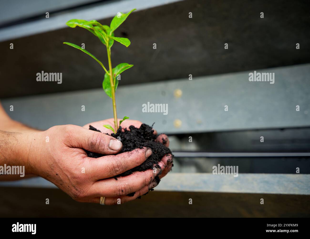 Carbon farming, compost, potting soil, hold, growing, season, substrate ...