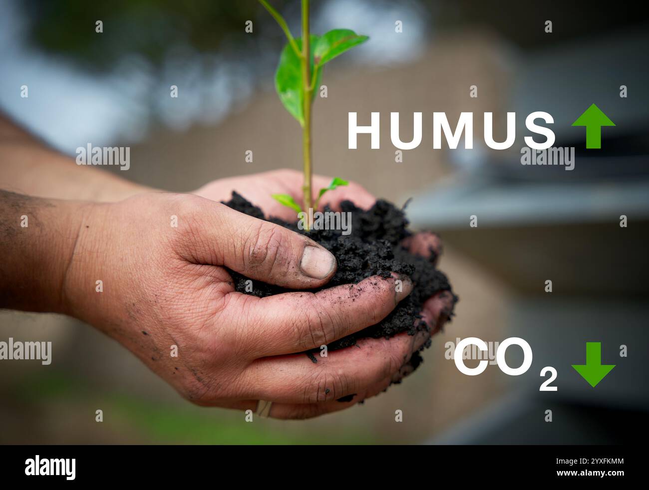 Carbon farming, compost, potting soil, hold, growing, season, substrate ...