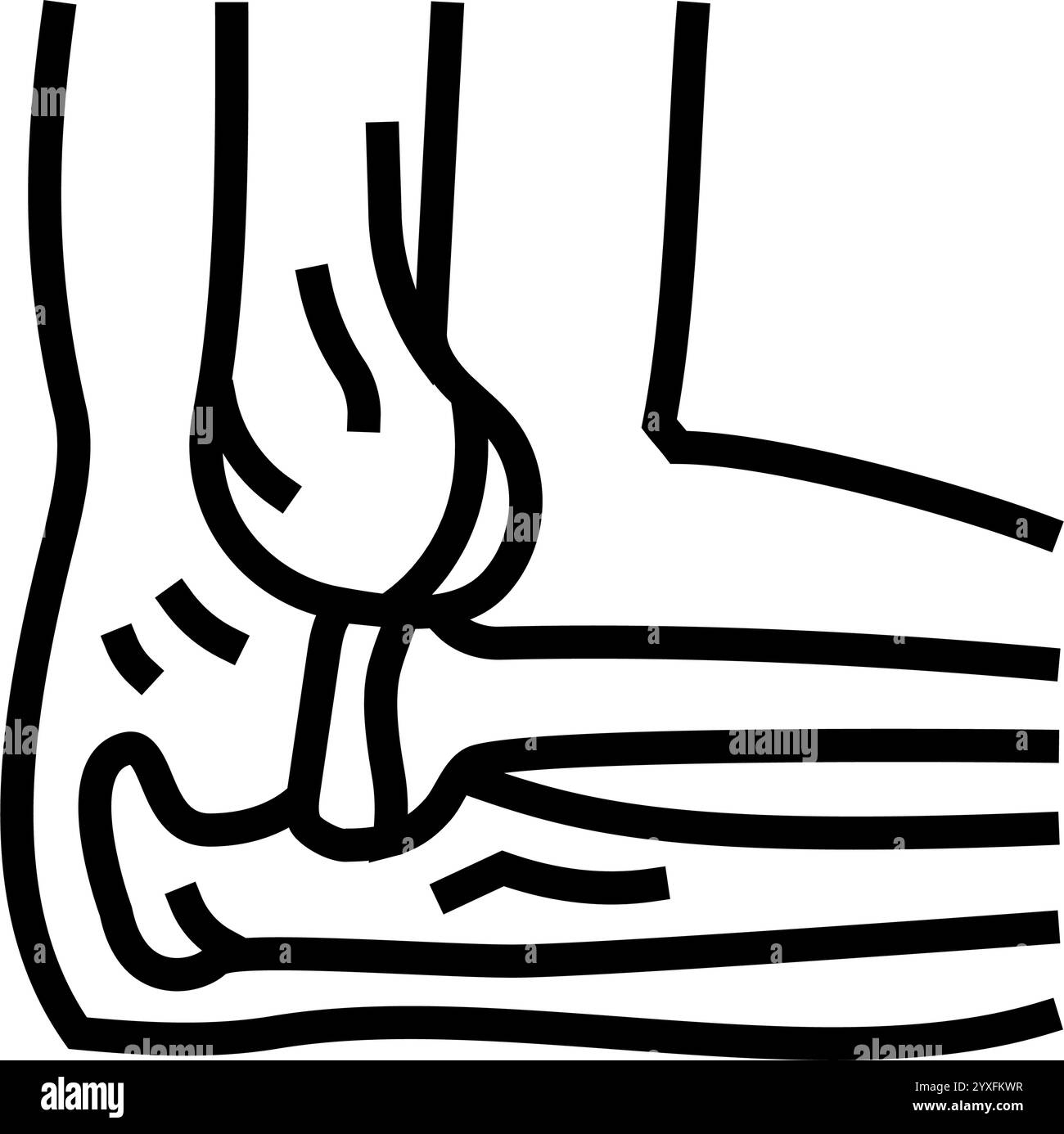 dislocated joint fracture line icon vector illustration Stock Vector ...