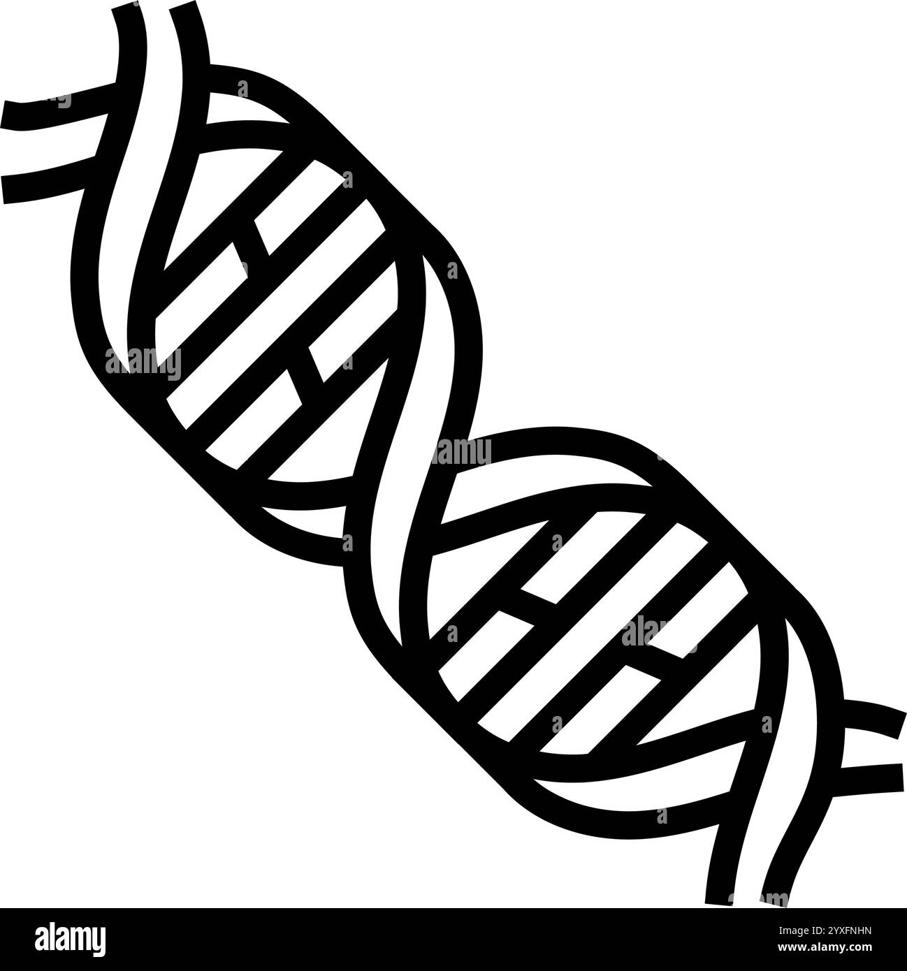 Dna nucleotides illustration Black and White Stock Photos & Images - Alamy