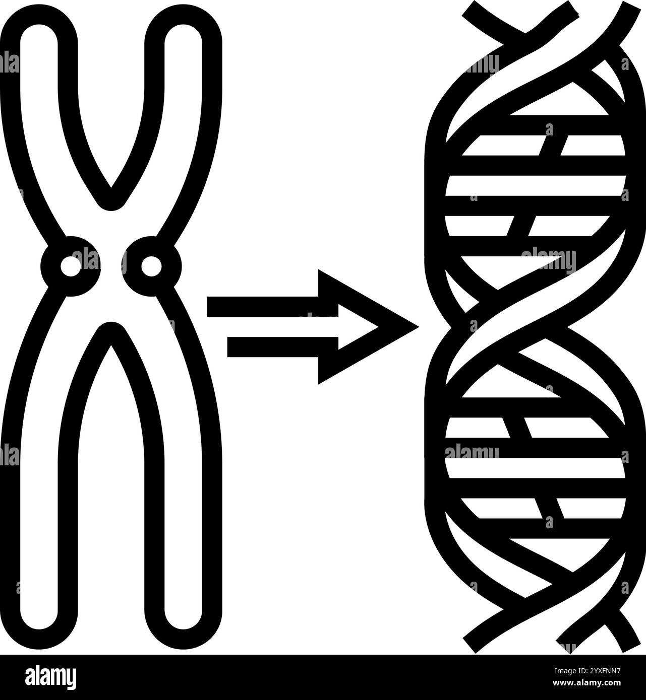 Epigenetics crispr hi-res stock photography and images - Alamy