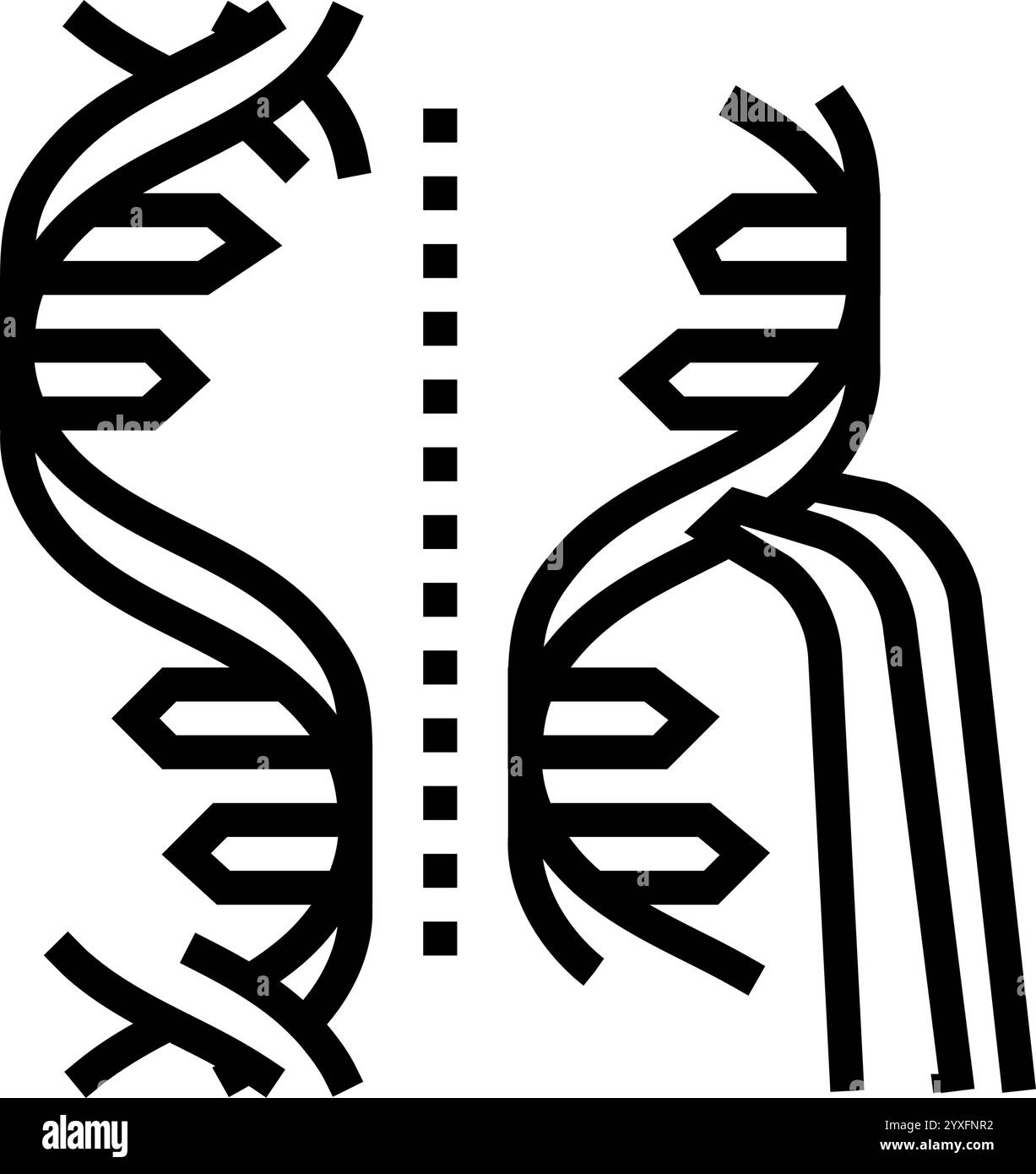 Genes and alleles hi-res stock photography and images - Alamy