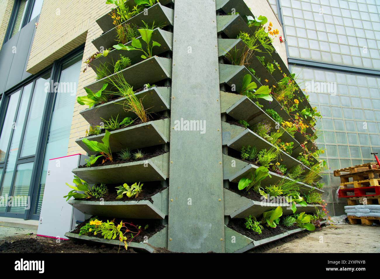 Vertical green facade garden. Living wall for urban greening ...