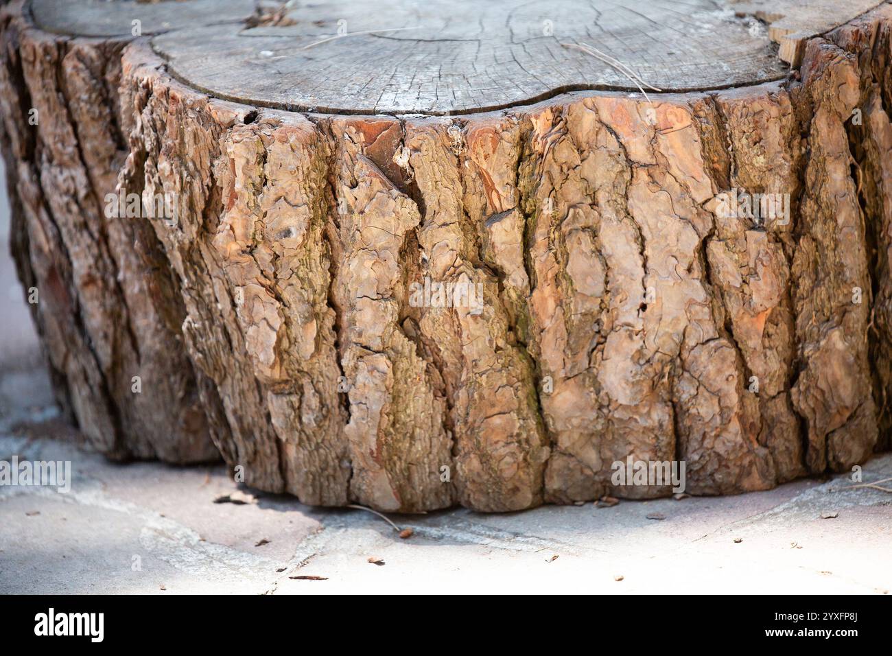 Concrete background with greenery hi-res stock photography and images ...