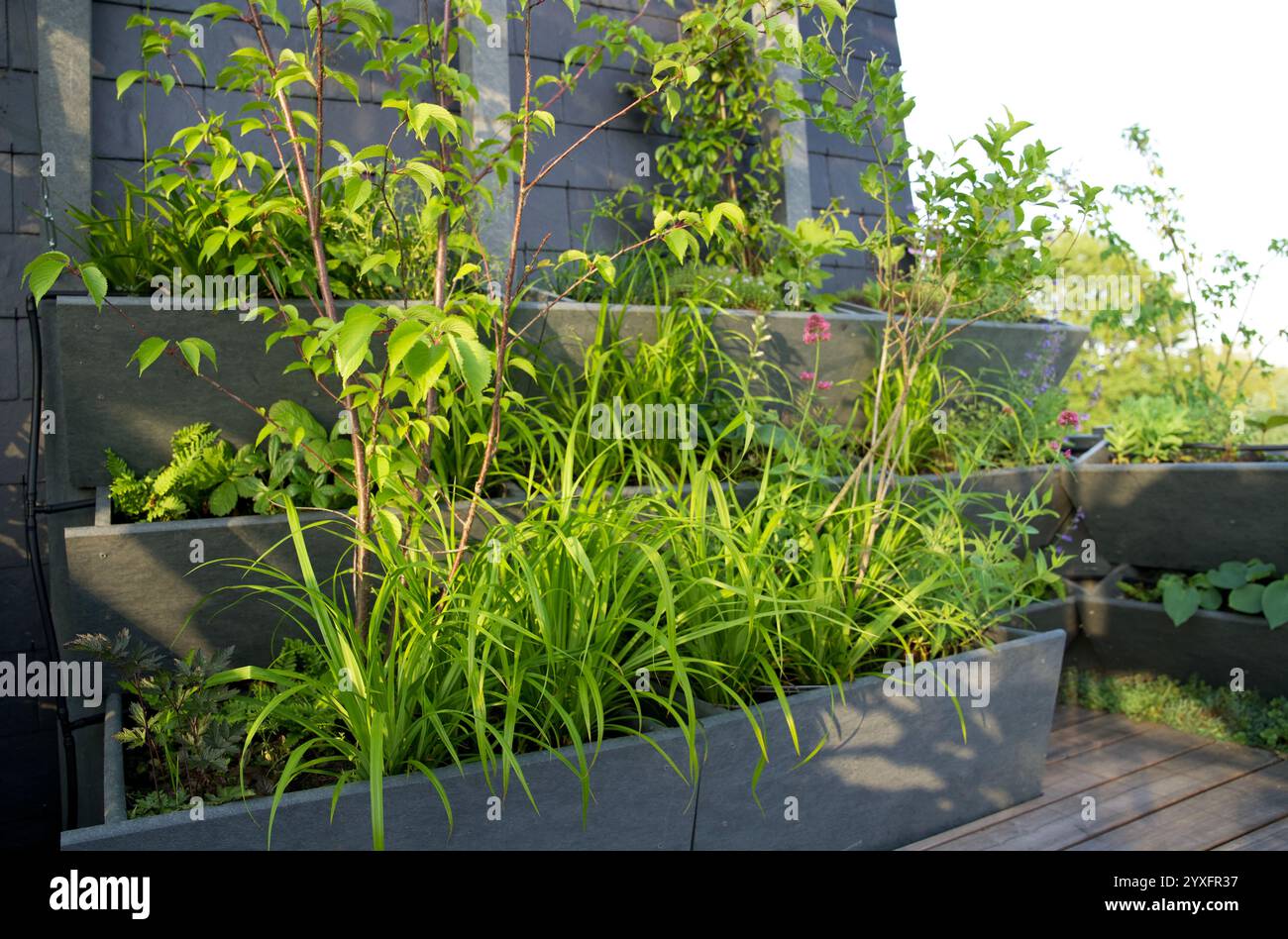 Vertical green facade garden. Living wall for urban greening ...