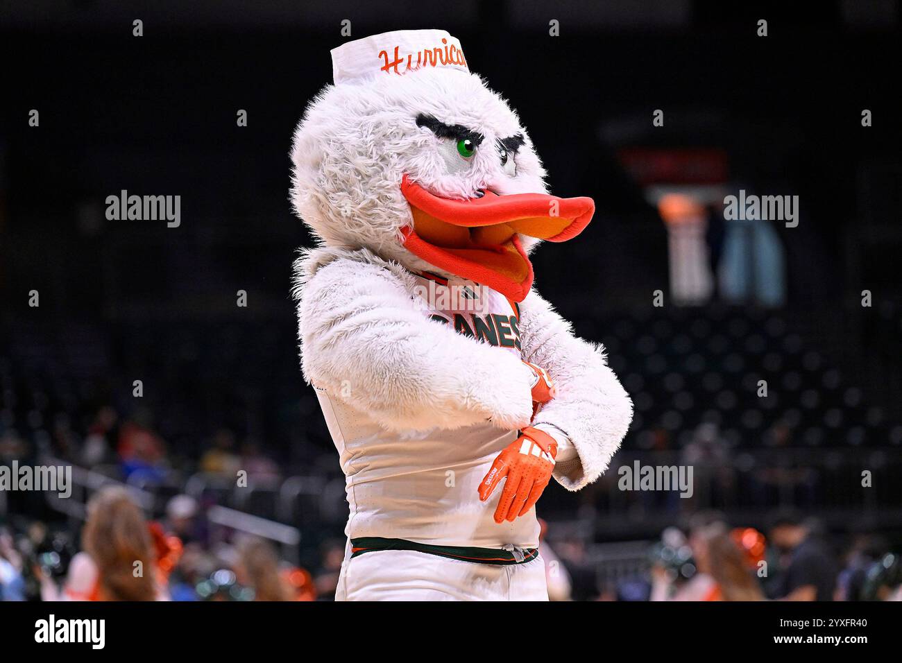 CORAL GABLES, FL - DECEMBER 15: Miami's mascot, Sebastian the Ibis ...