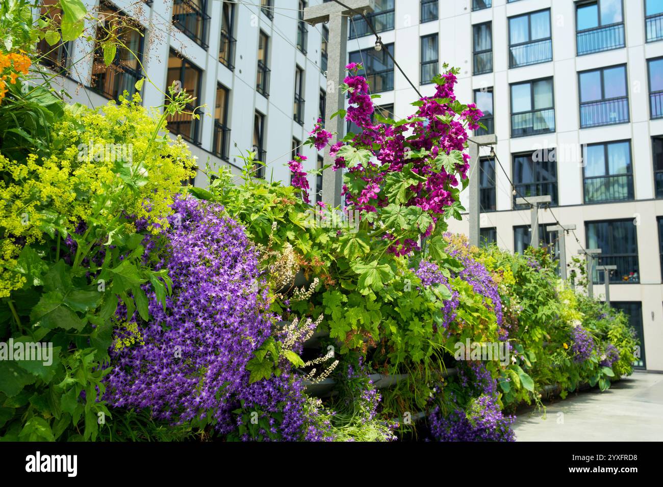 Vertical green facade garden. Living wall for urban greening ...